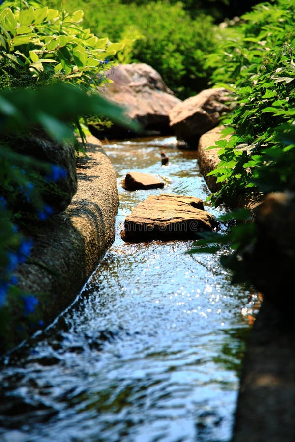 Stream by rocks and plants stock photo. Image of flow - 14566618