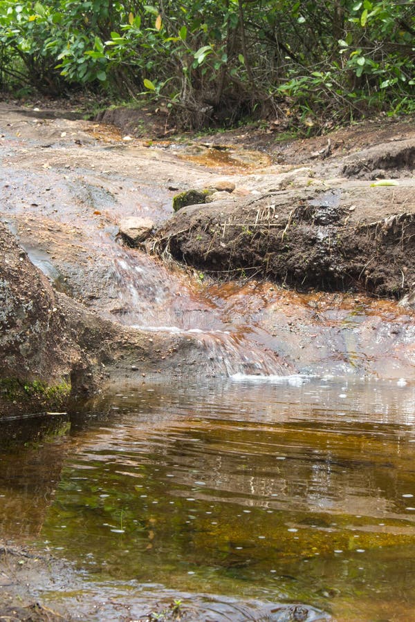 Stream rocks stock photo. Image of leaf, light, river - 98686810