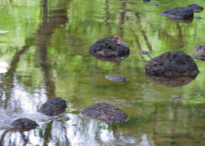Stream with Rocks,and Trees Reflection Stock Photo - Image of calmness ...