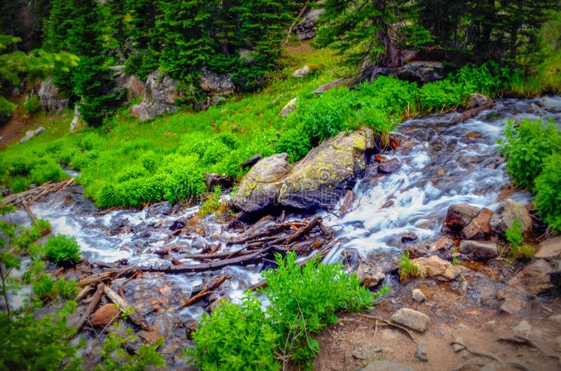 Alpine Stream In Colorado Rocky Mountains Stock Image - Image of ...