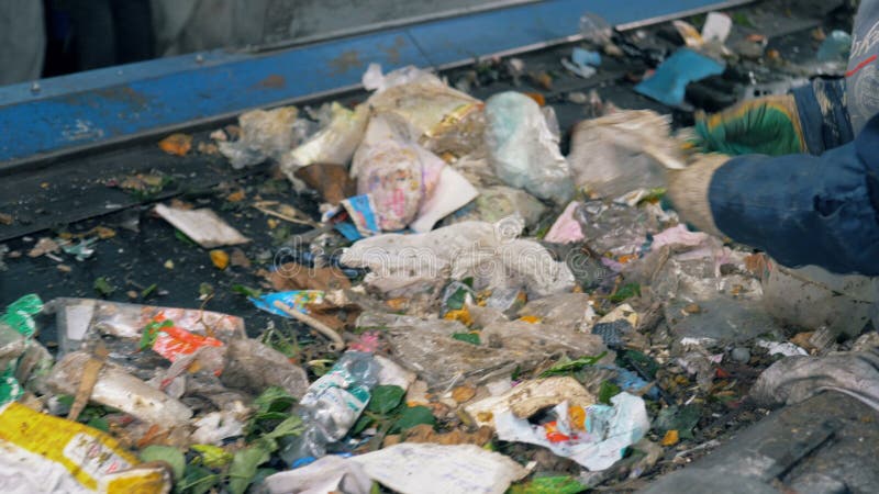 Stream of Rubbish is Getting Sorted by a Plant Worker. Waste Recycling ...
