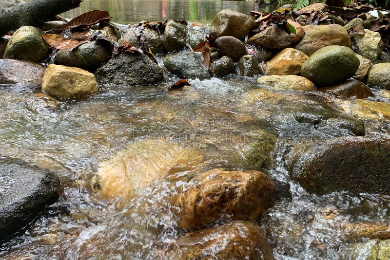 Stream Running Fast in Summer Green Forest Stock Image - Image of ...