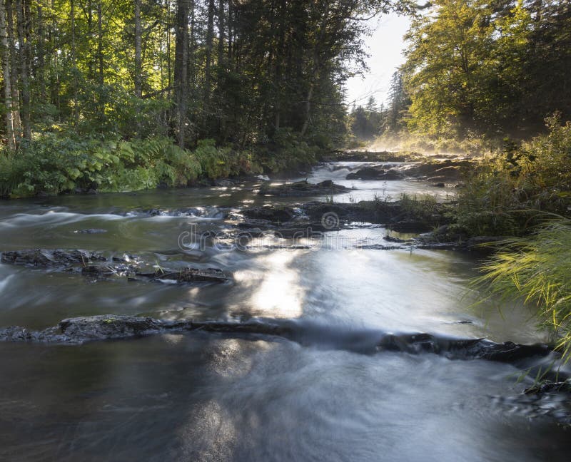 Stream Running through a Maine Forest Stock Photo - Image of stream ...