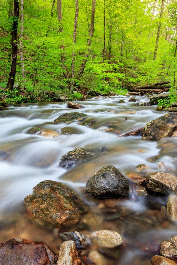 Stream stock photo. Image of hiking, water, fall, flowing - 30791026