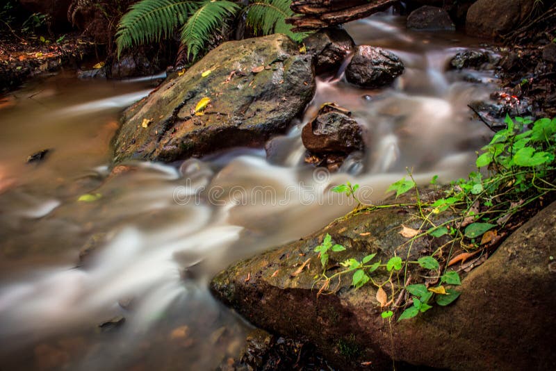 Stream Running Over Rocks in a Forrest Stock Image - Image of stream ...