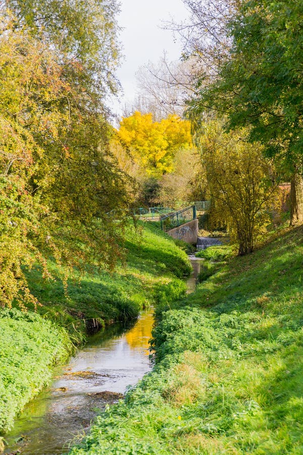 Stream Running through a Park in AUTUMN Stock Photo - Image of stream ...