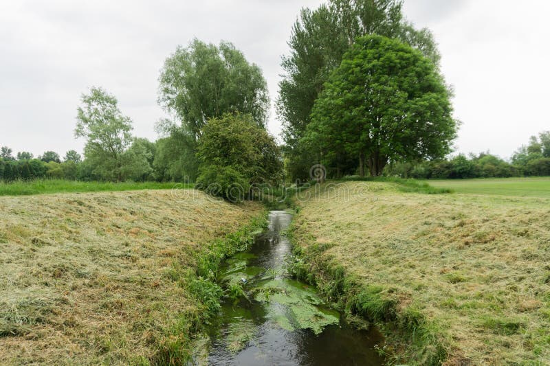 Stream Running through a Park Stock Photo - Image of stream, sunset ...