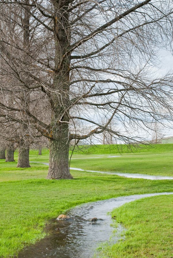 Stream Running through Pasture Stock Photo - Image of countryside, hill ...