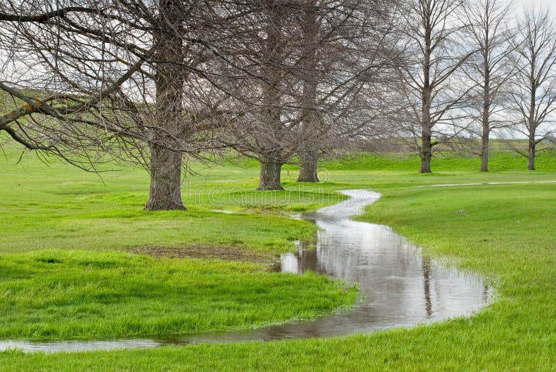 Stream Running through Pasture Stock Image - Image of deciduous, land ...