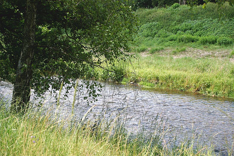 Stream of a running river stock photo. Image of idyllic - 68203754