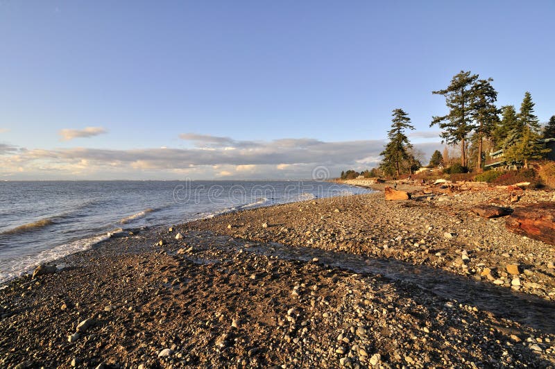 Stream Running into the Sea Stock Image - Image of blue, forest: 28310595