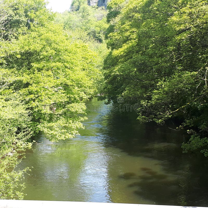 River stock photo. Image of trees, running, stream, summer - 120139052