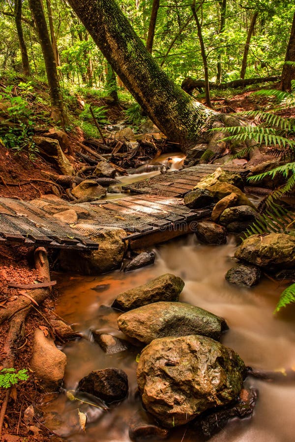Stream Running Under Foot Bridge Stock Photo - Image of wilderness ...