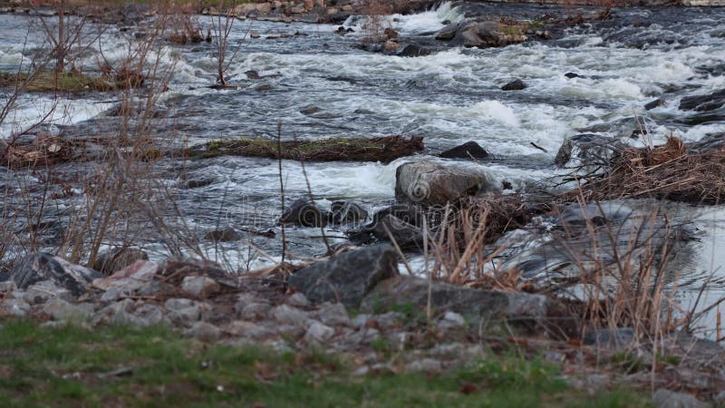 Stream with Running Water in the Park in Spring Stock Video - Video of ...