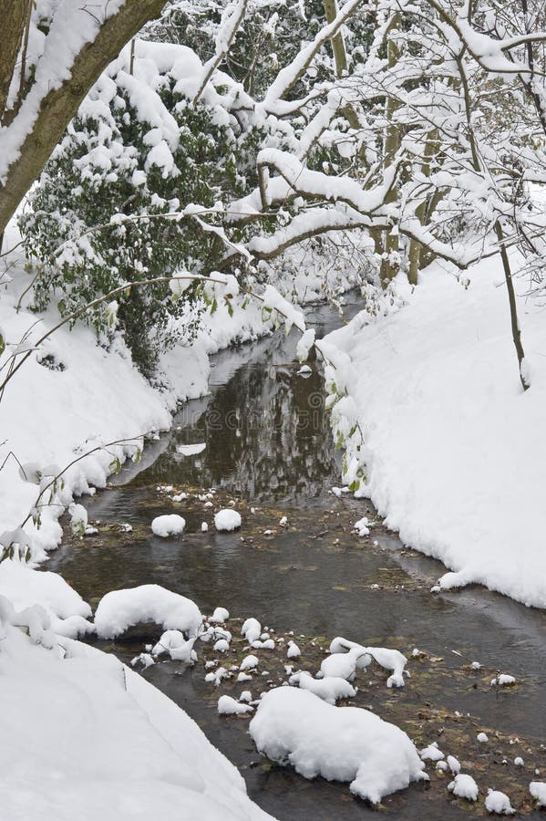 Stream Running through Winter Forest Stock Photo - Image of water ...