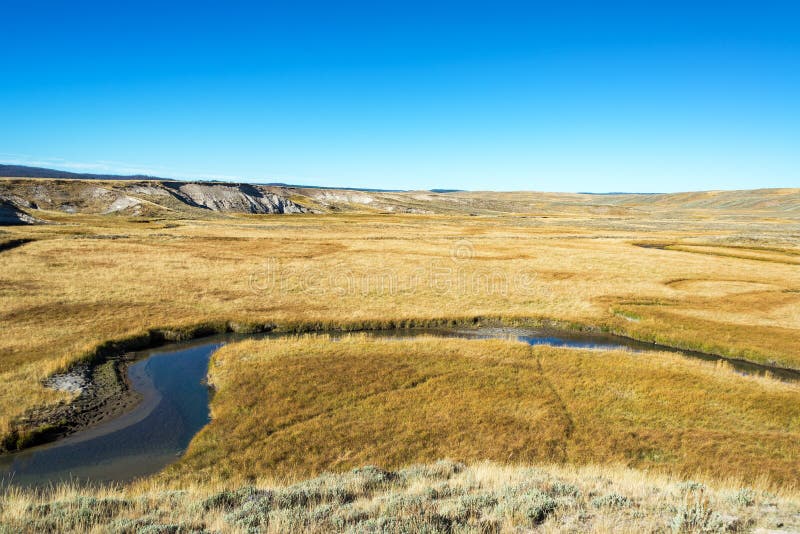 Stream Running through Yellowstone Stock Photo - Image of field, water ...