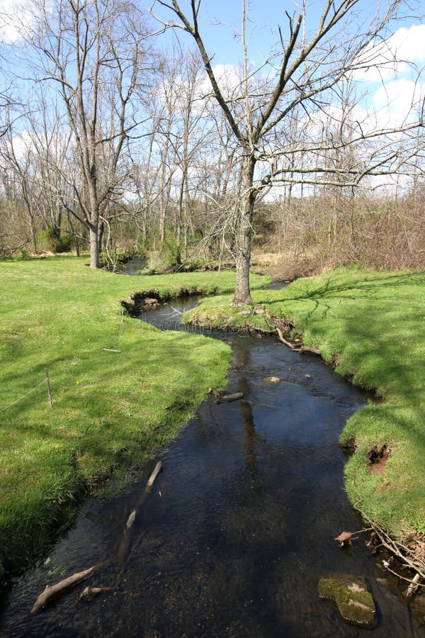 The Stream Runs Along the Countryside. Stock Photo - Image of scenic ...