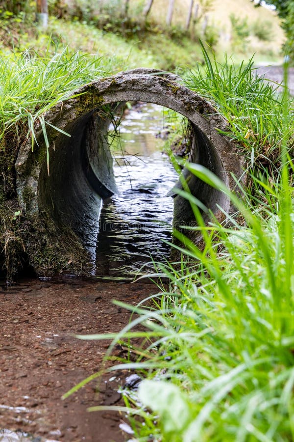 The Stream Runs through the Pipe Stock Image - Image of creek, drainage ...