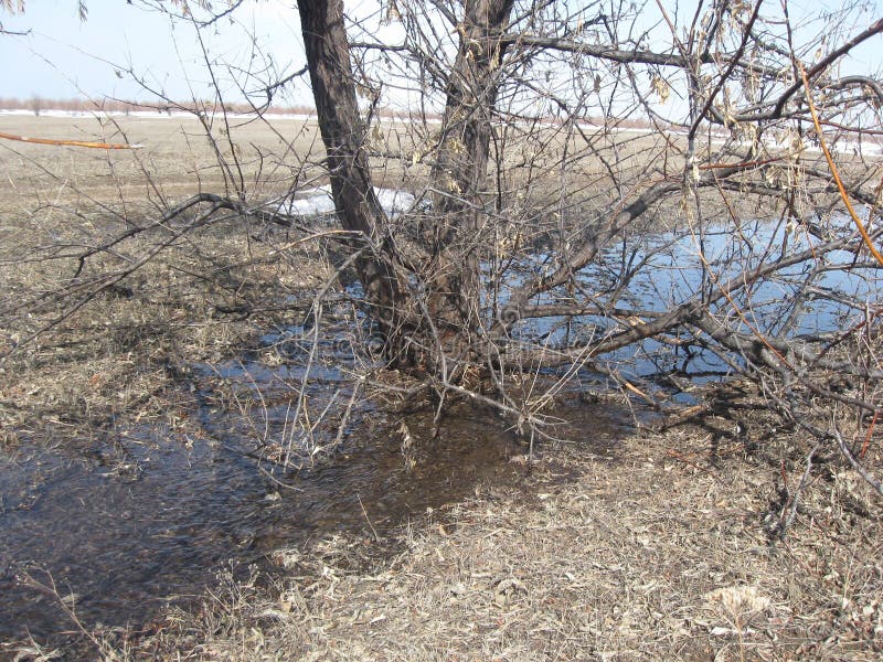 The Stream Runs through the Field Stock Image - Image of spring, runs ...