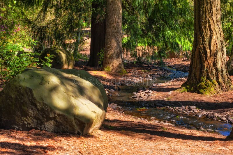 Stream Runs through Forest Setting Stock Photo - Image of setting ...