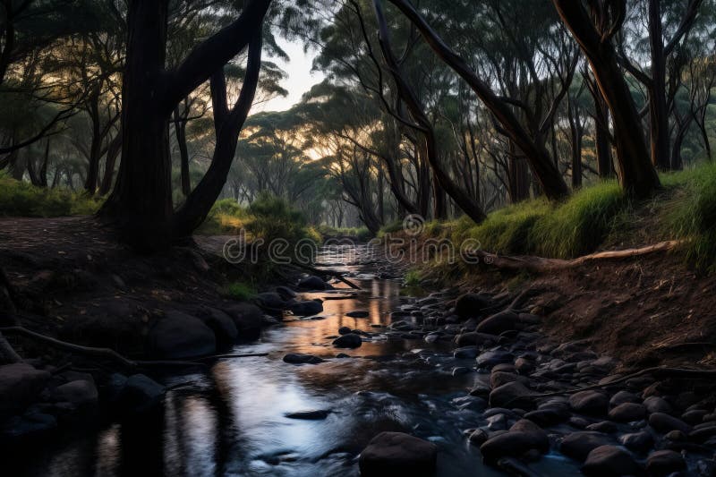 A Stream Runs through a Forest at Sunset Stock Illustration ...