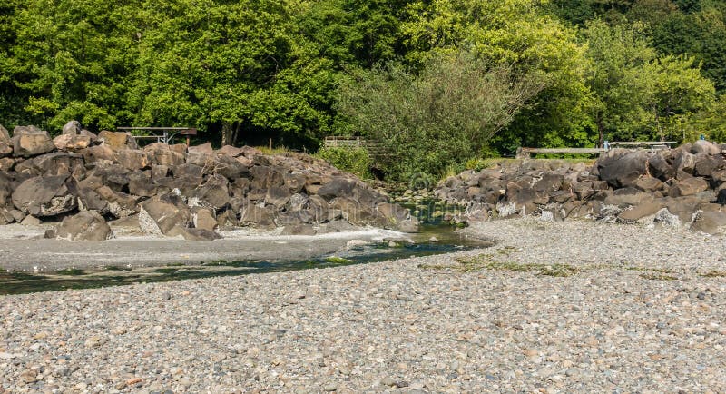 Stream at Saltwater stock photo. Image of shoreline, northwest - 71822038