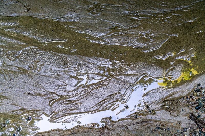 Stream Sand Close-up stock image. Image of sand, state - 329788351
