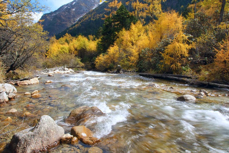 Stream scenery stock photo. Image of natural, lixian - 27301568