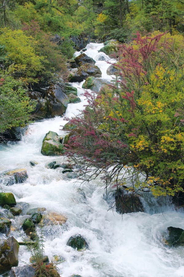 Stream scenery stock photo. Image of stone, scenery, canyon - 60045804