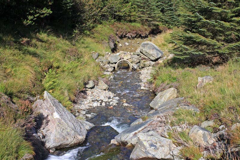 Stream in Scotland stock photo. Image of trees, stone - 30594352