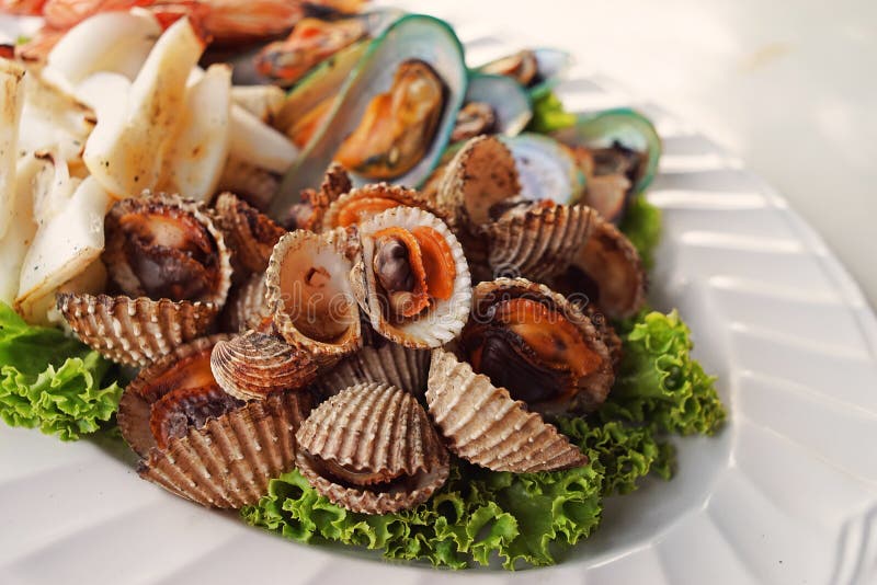 Stream seafood dish stock image. Image of boiled, steamed - 141189547