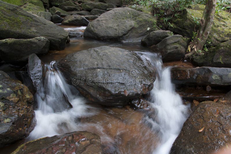 Stream stock photo. Image of flowing, foliage, nature - 55540612