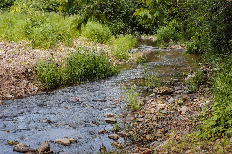 Stream stock photo. Image of nature, rock, leaf, flow - 49551678