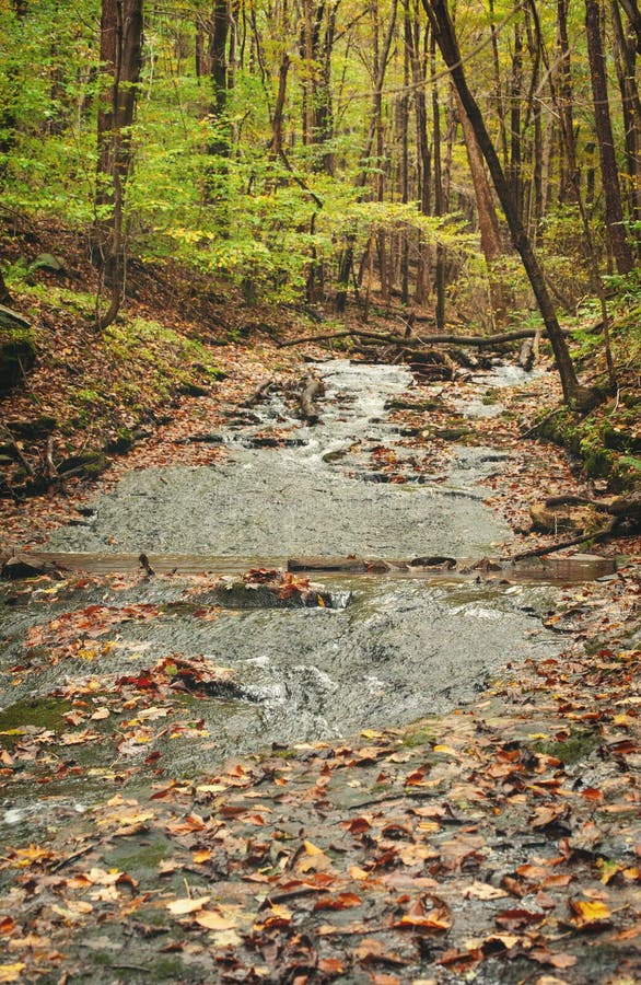 A Stream with a Small Pool with Fallen Leaves Stock Photo - Image of ...