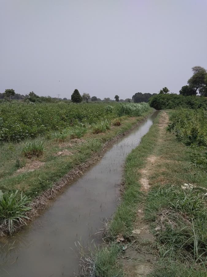 A stream stock photo. Image of farm, stream, small, fields - 122681712