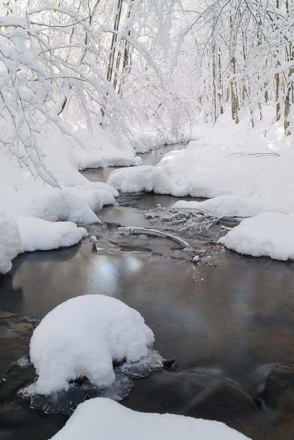 Stream snow stock image. Image of water, paradise, winter - 12268161