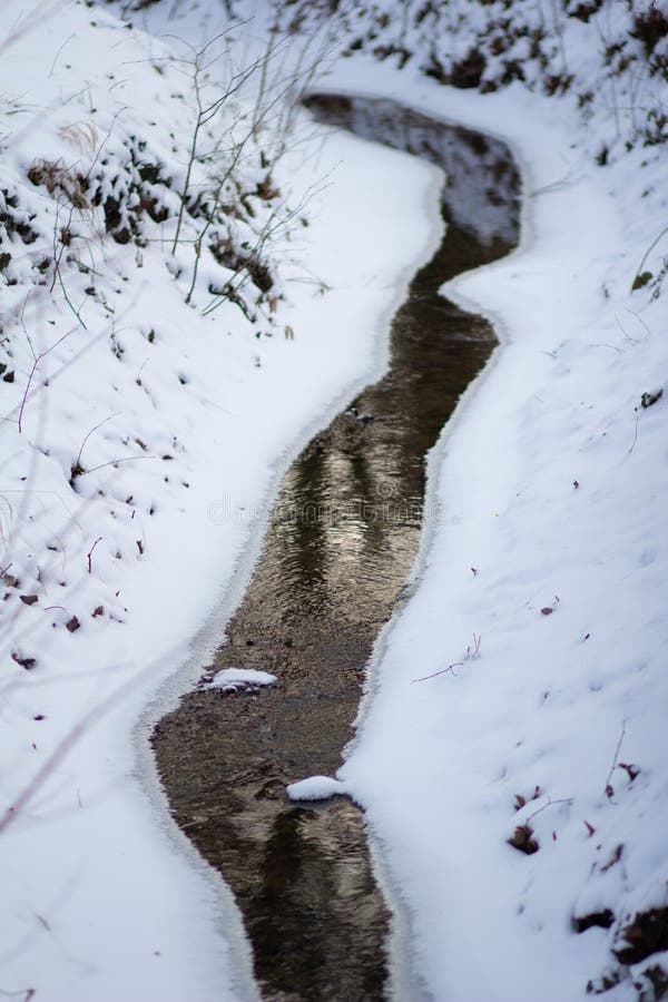 A stream in the snow stock photo. Image of show, park - 214170838