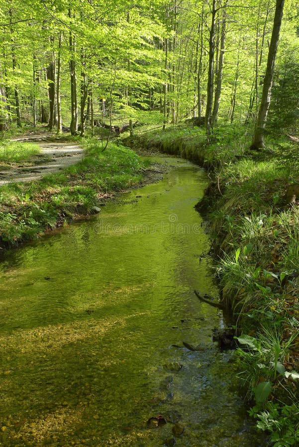 Stream in spring stock photo. Image of falling, refreshment - 24724900