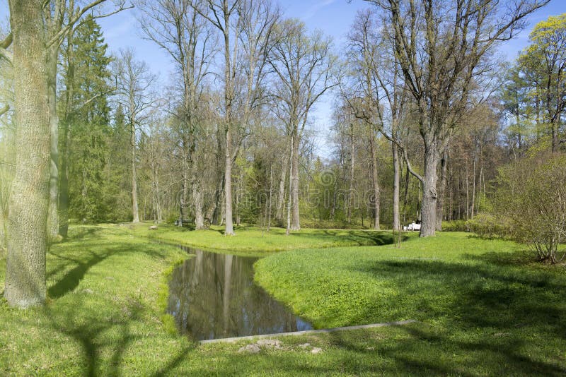The stream in spring park stock photo. Image of river - 103260856