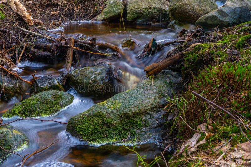The Stream in the Spring. Photo of Scandinavian Nature Stock Image ...