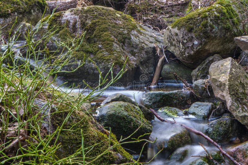 The Stream in the Spring. Photo of Scandinavian Nature Stock Photo ...