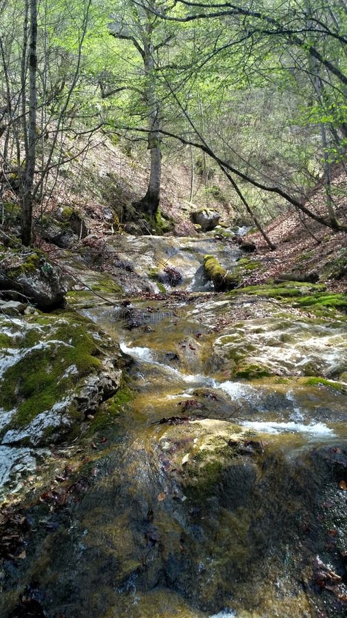 Stream in spring stock photo. Image of trail, water - 187163674