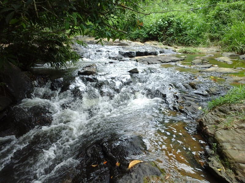 Pasyala Stock Photos - Free & Royalty-Free Stock Photos from Dreamstime