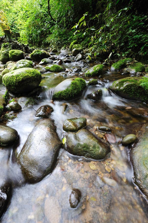 Stream with stone stock photo. Image of mist, life, long - 25513338