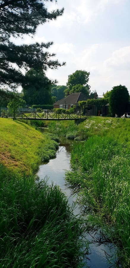 Stream stock image. Image of bridge, countryside, grass - 118005863