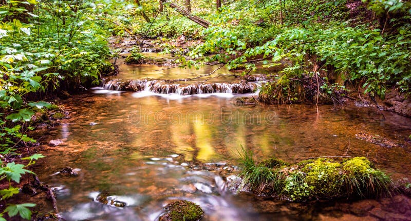 The River Flows through the Sunny Forest. Stock Photo - Image of nature ...
