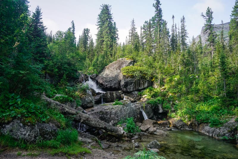 A Stream in the Taiga of the Ergaki Natural Park Stock Image - Image of ...