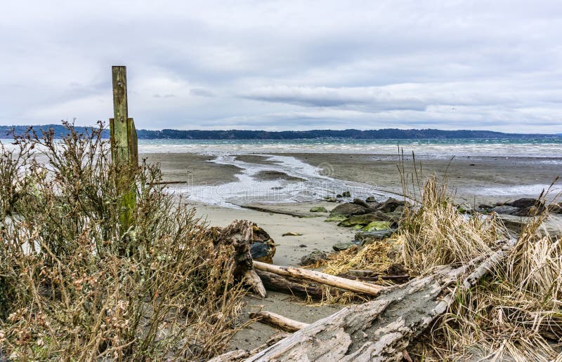 Stream To Puget Sound stock image. Image of windy, flows - 271120451