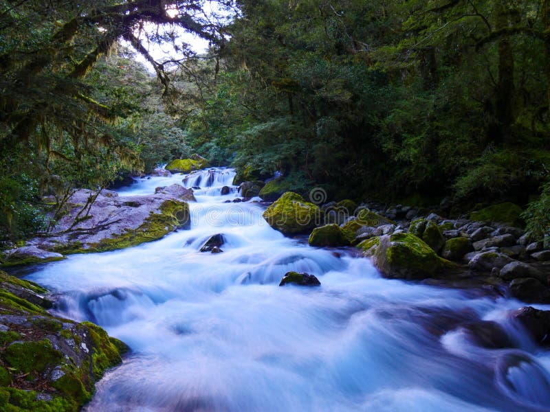 Path by the River Next To Moss-covered Trees Stock Photo - Image of ...