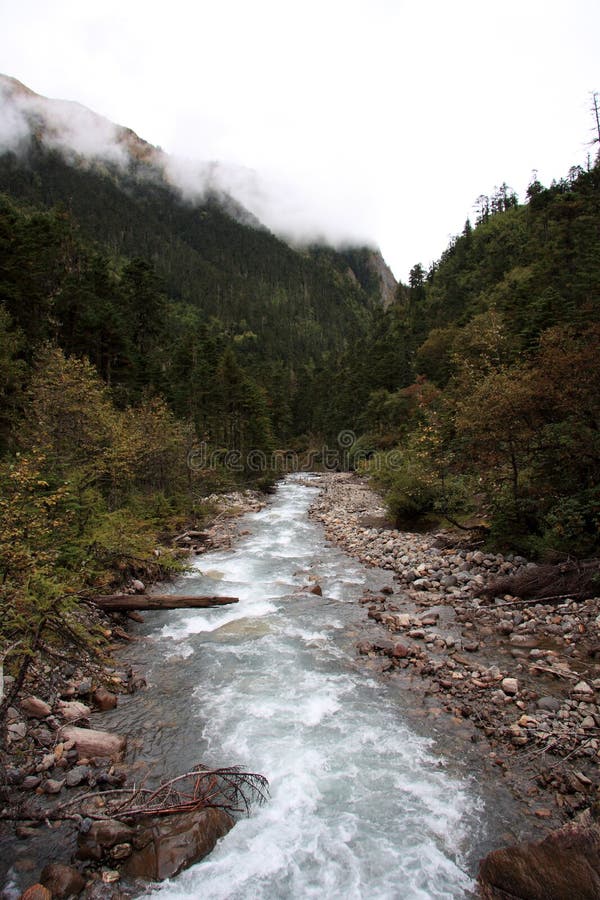 Stream tree stock image. Image of yubeng, peace, stream - 7031883
